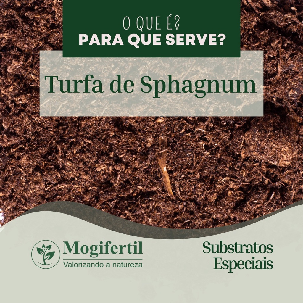 Turfa de Sphagnum substrato especial adubo orgânico plantas 3, 10 ou 20 ...