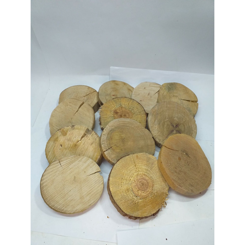 Kit 50 Bolacha de 6 a 9 cm em Madeira Natural Rústica RACHADA e ...