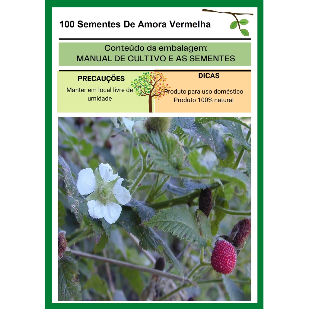 100 Sementes De Amora Vermelha | Shopee Brasil