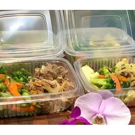 24un Pote Marmita Descartável 500 ml Fitness Fit Freezer Microondas dieta | Shopee Brasil