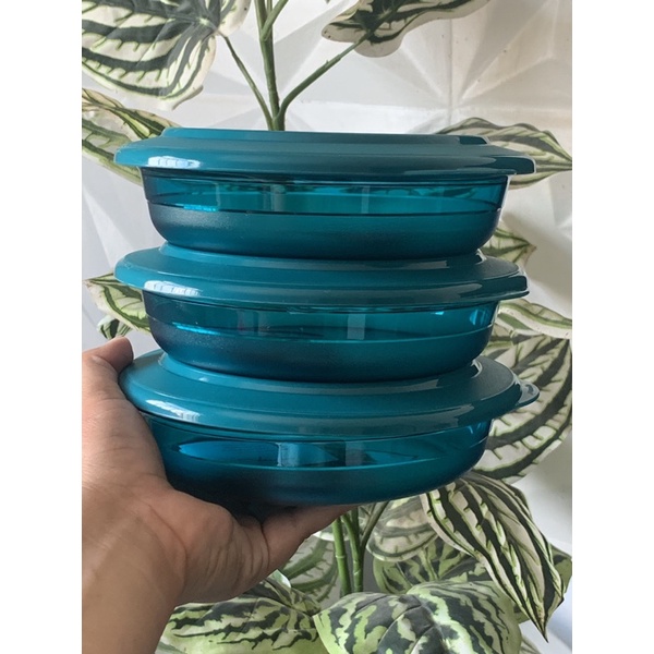 Tupperware tigela Cristal 350mL verde misterio policarbonato | Shopee ...