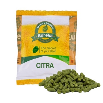 LUPULO US CITRA PELLET T90 A.A 13,1% 50g | Shopee Brasil
