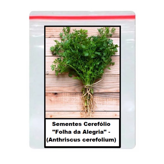 400 Sementes Cerefólio "Folha da Alegria" - (Anthriscus cerefolium ...