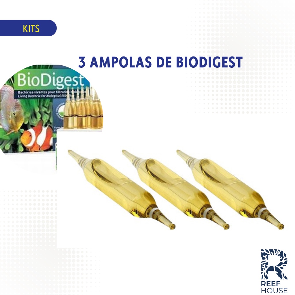 Ampolas BioDigest Prodibio ( Kit 3 unidades )p/ Aquários | Shopee Brasil