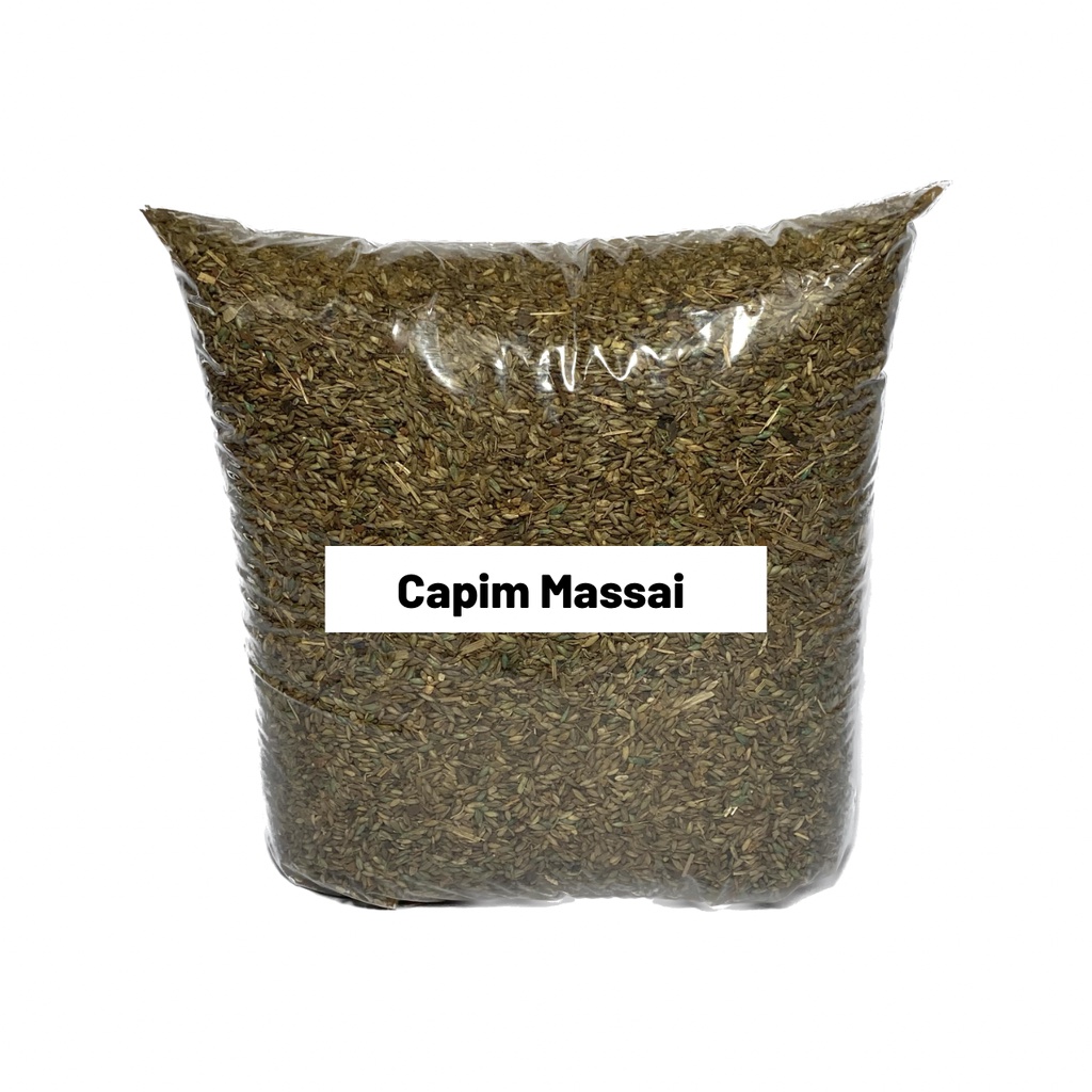 Sementes de Capim Massai Panicum Maximum - 5Kg de Sementes para ...