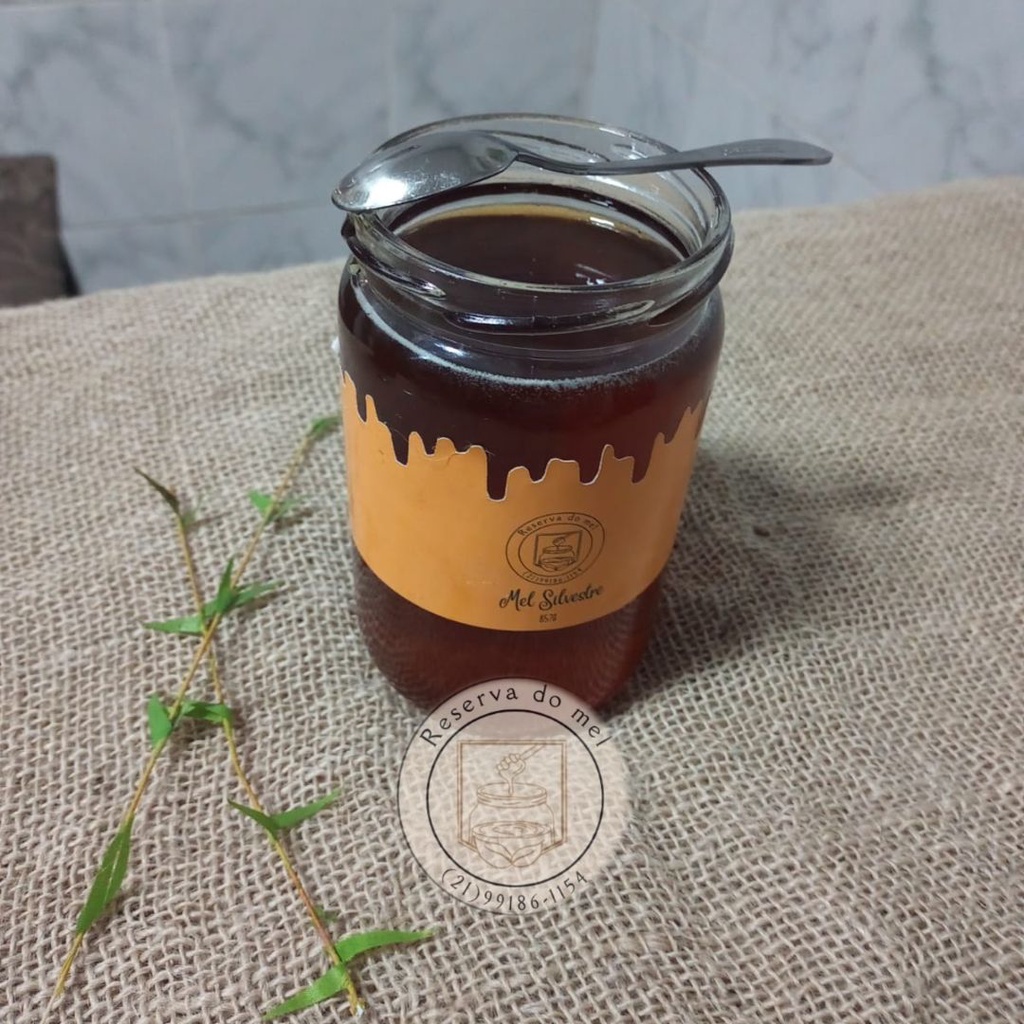 MEL DE APIS MELIFERA(ABELHA EUROPEIA) FLORADA SILVESTRE 857 G | Shopee ...