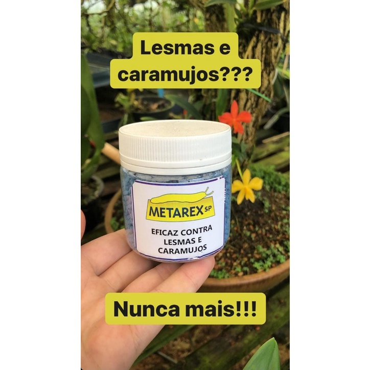Lesmicida Metarex 180g | Shopee Brasil