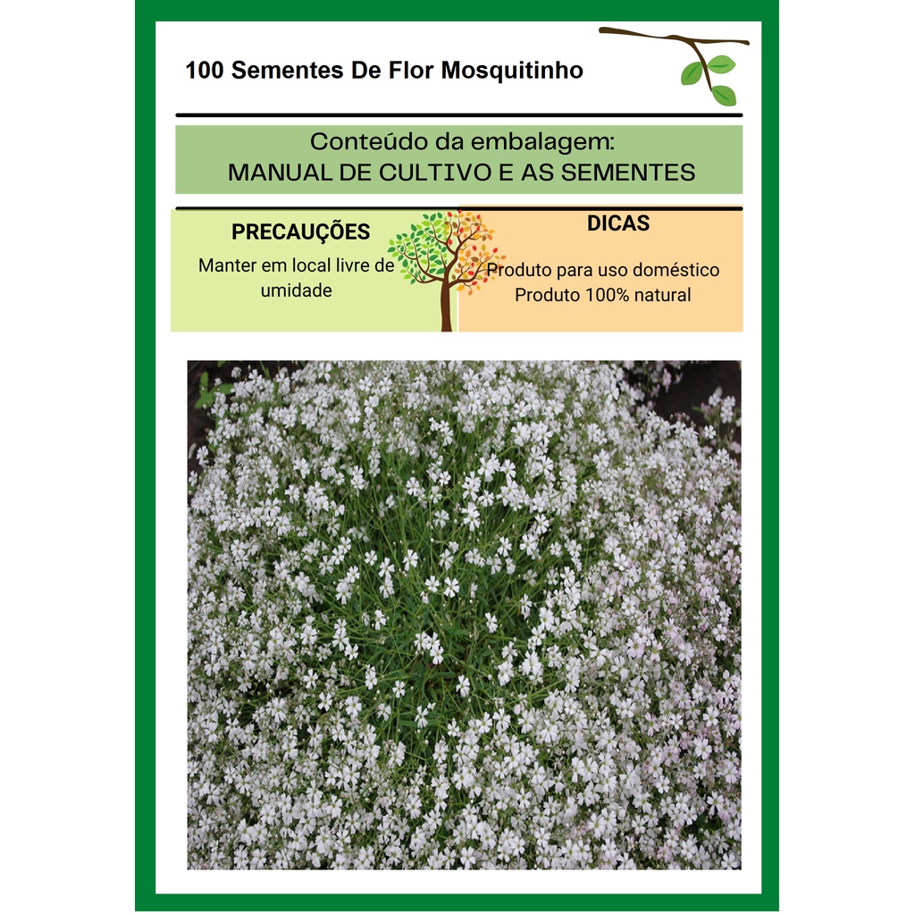 100 Sementes De Flor Mosquitinho | Shopee Brasil