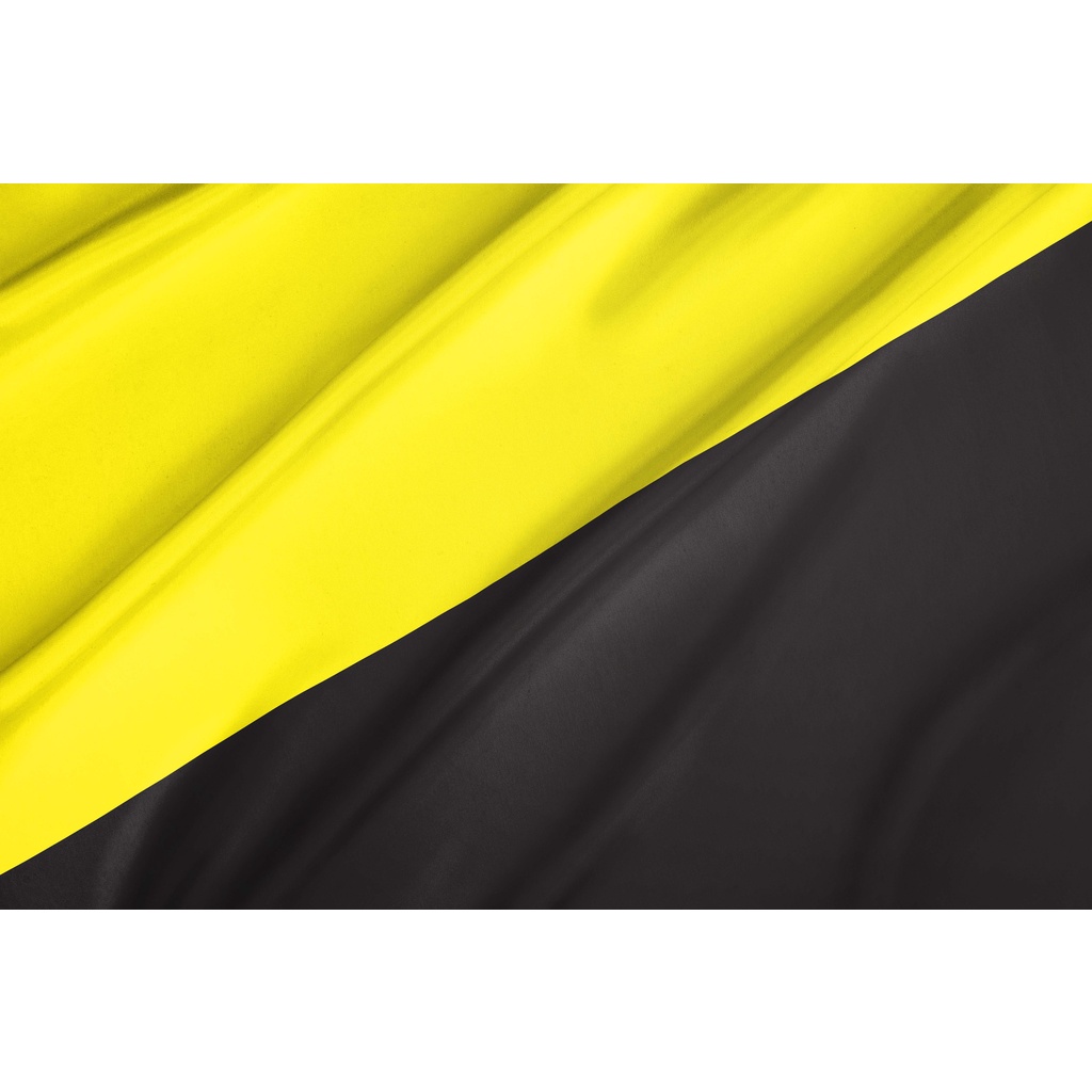 Bandeira Ancap 145x85 Cm Anarcocaptalista Oxford Libertária | Shopee Brasil