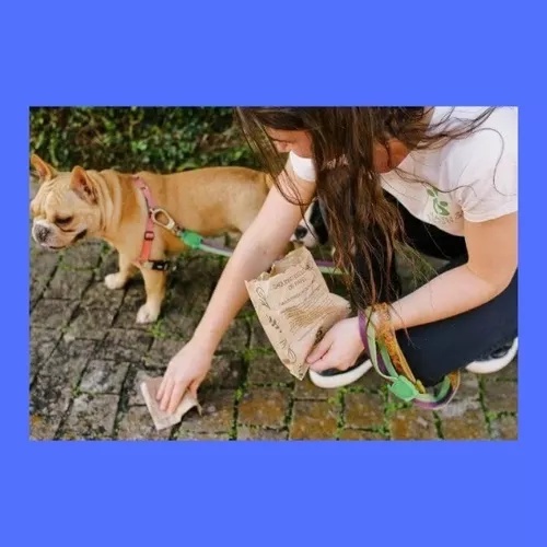 SAQUINHO CATA CACA ECOLÓGICO BIODEGRADÁVEL PARA PET COM 100 UNIDADES ...