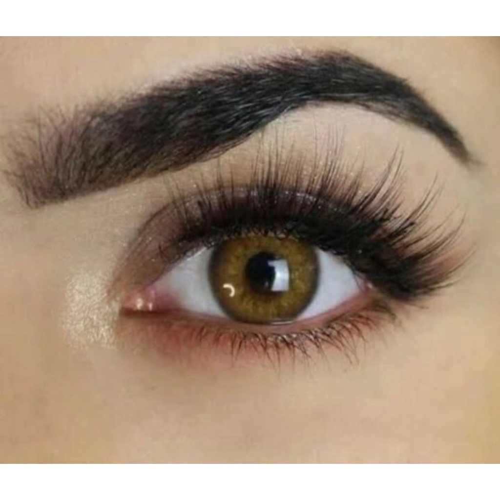 Lente PAR Freshlady Grau Russian Brown Castanho Claro Original do ( -0 ...