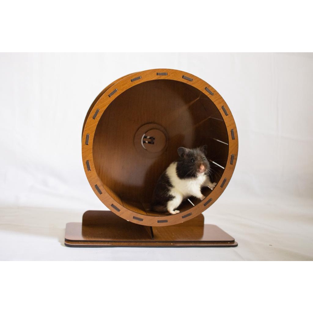 Rodinha de Hamster Roda para hamsters Silenciosa vários tamanhos ...
