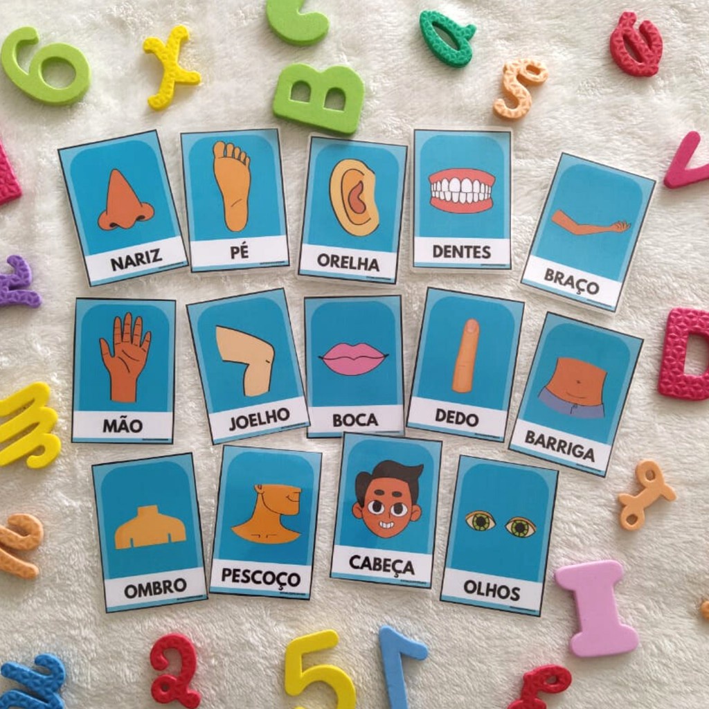 Flashcard Partes do Corpo Humano - Material Pedagógico Ciências ...