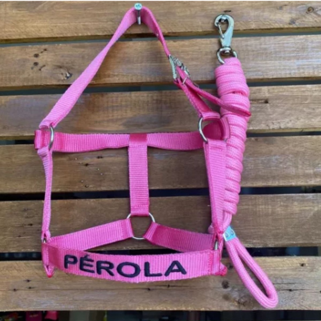 Cabresto Para Pônei Personalizado- Escolha O Nome | Shopee Brasil