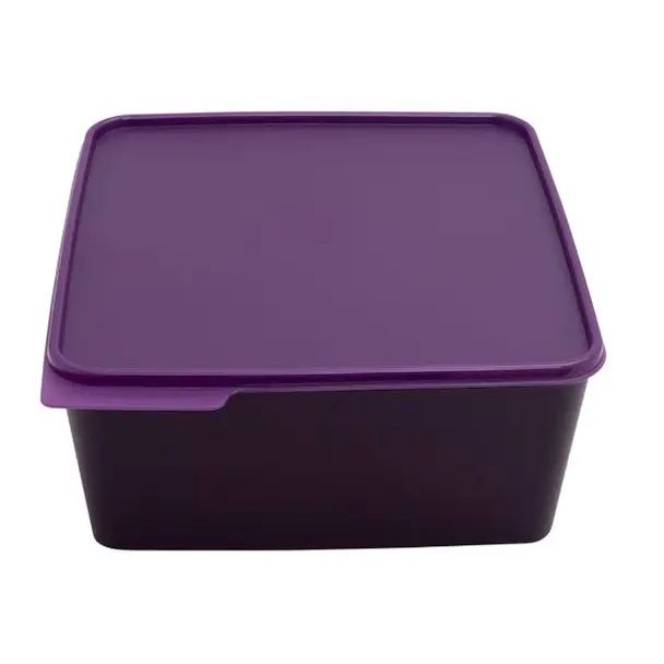Pote Quadrado 2,5L da Linha Basic Line Tupperware | Shopee Brasil