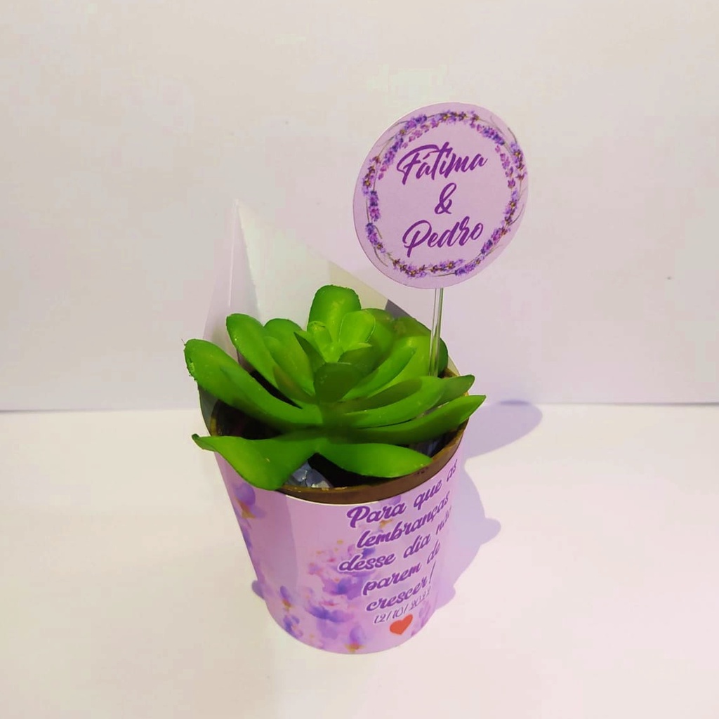 Rótulos Para Suculentas + Tag Personalizados kit 10 unidades | Shopee ...
