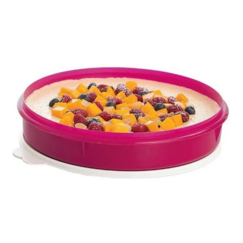 PORTA TUDO TUPPERWARE | Shopee Brasil