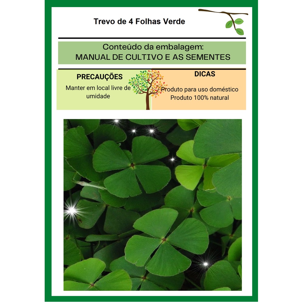 100 sementes de Trevo de 4 Folhas Verde | Shopee Brasil
