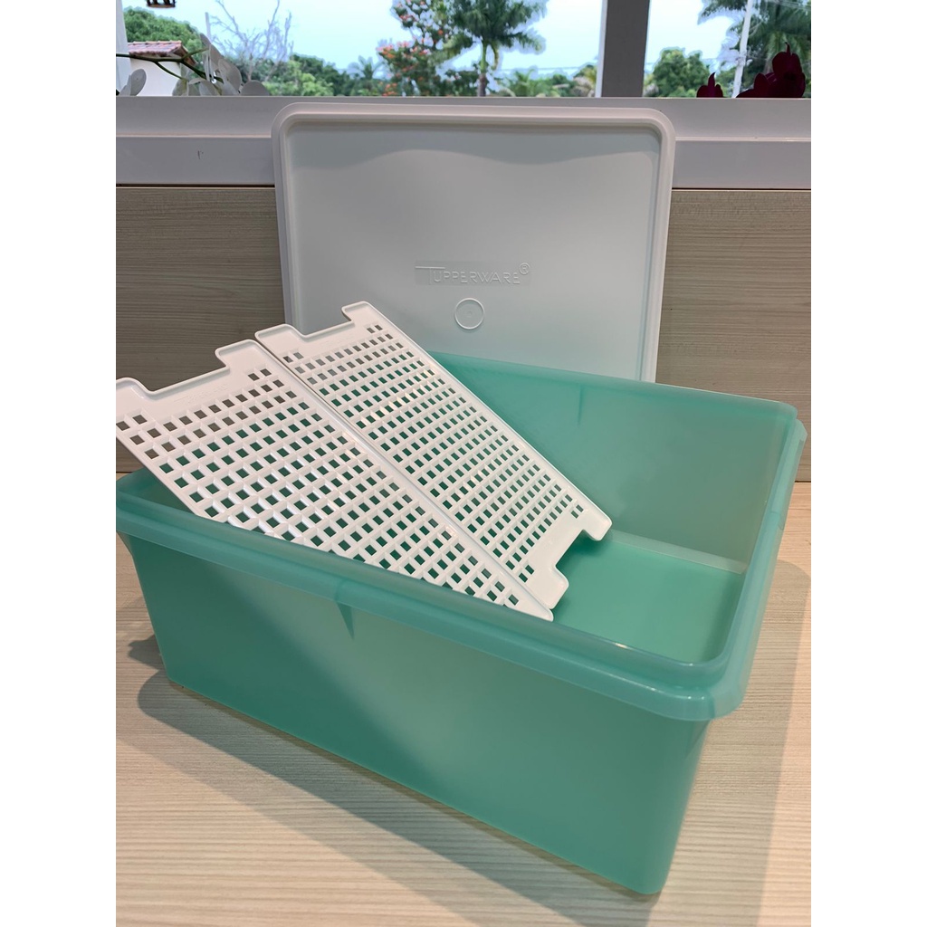 TUPPERWARE SUPER CAIXA 10 LITROS - ESCOLHA SUA COR | Shopee Brasil