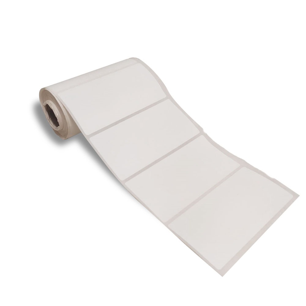 Etiqueta ADESIVA BOPP BRANCA FOSCA REMOVIVEL 10x5 cm 680 Unidades ...