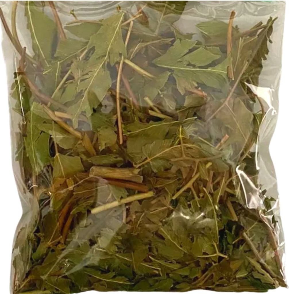 Banho de Ervas Abre Caminho - Erva Natural Limpeza Espiritual Quebra ...