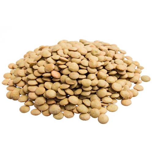 Lentilha Canadense pacote 1kg | Shopee Brasil