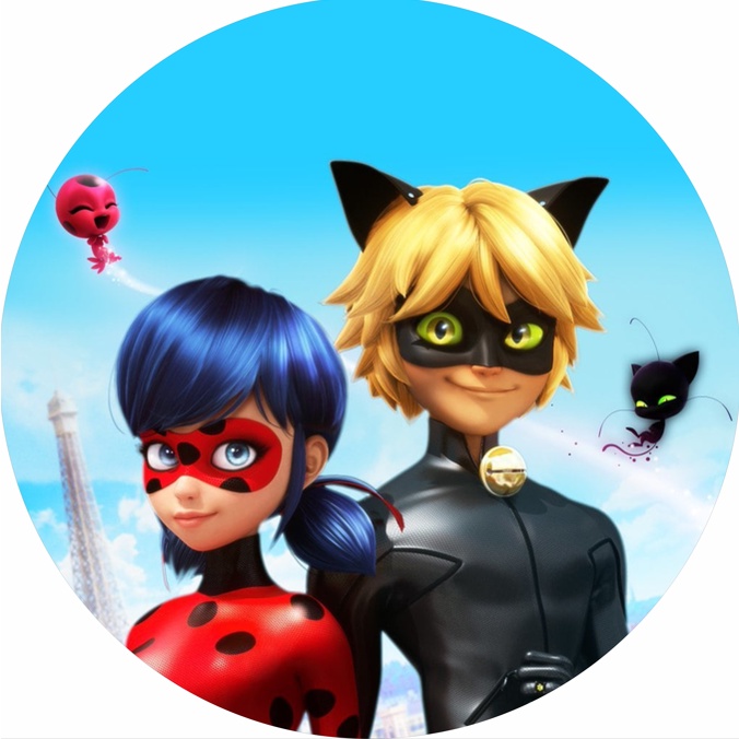 Painel em Lona Redondo Decoração - Tema Miraculous Lady Bug e Cat Noir ...