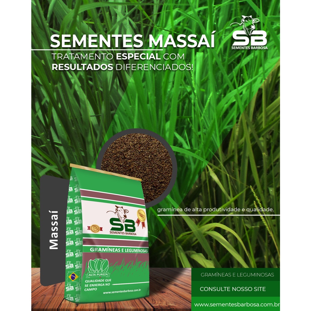 Semente Panicum Maximum CV Massaí 20kg - Convencional | Shopee Brasil