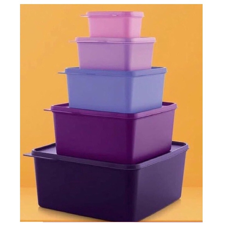 Tupperware Basic Line Pote Quadrado multi uso unidade | Shopee Brasil