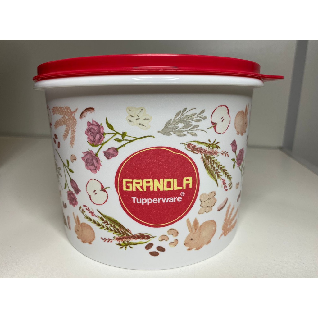 TUPPER CAIXA GRANOLA FLORAL 1,7KG | Shopee Brasil