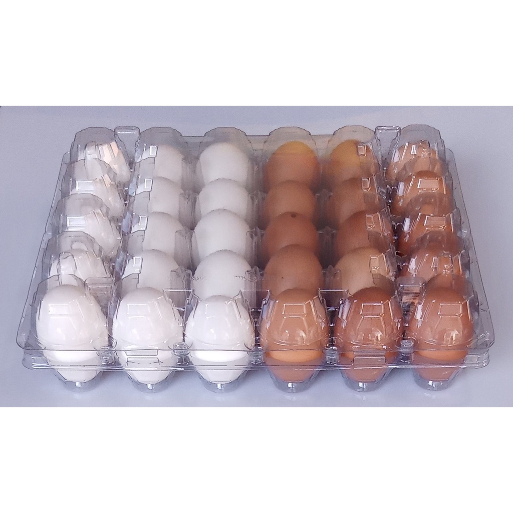 Embalagem Plástica Para 30 Ovos De Galinha (10 Unidades) | Shopee Brasil