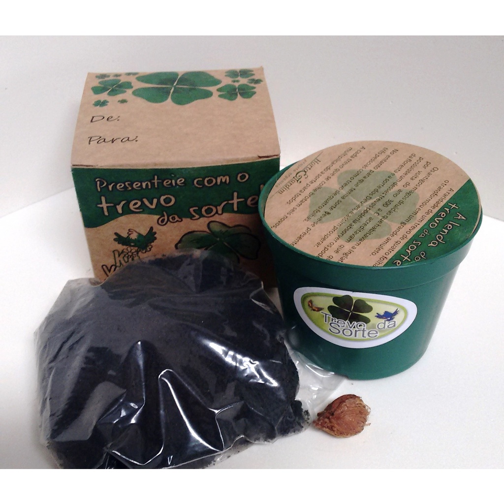 Lembrancinha Kit Plantio Trevo | Shopee Brasil