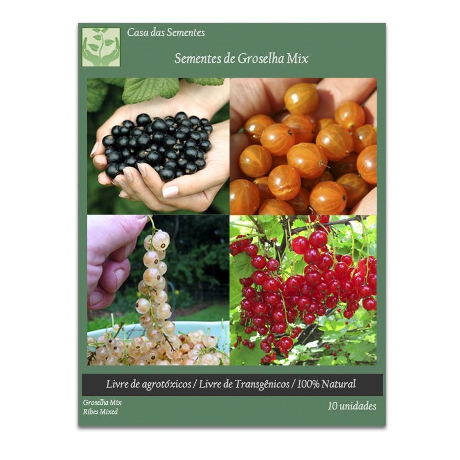 Sementes de Groselha Mix Plantio de Mudas da Fruta | Shopee Brasil