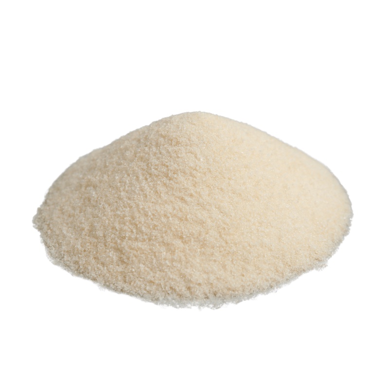 Gelatina sem sabor incolor em pó 1kg | Shopee Brasil