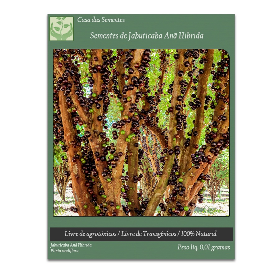 Kit Sementes de Jabuticaba Anã Hibrida Precoce para Plantio de Mudas da ...