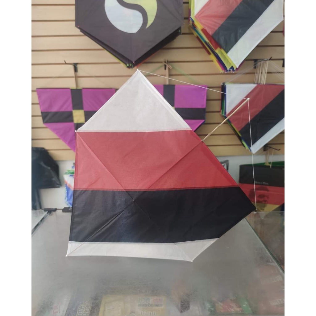 Pipa Médio 55cm com 10 Unidades 100% Corte Recorte | Shopee Brasil