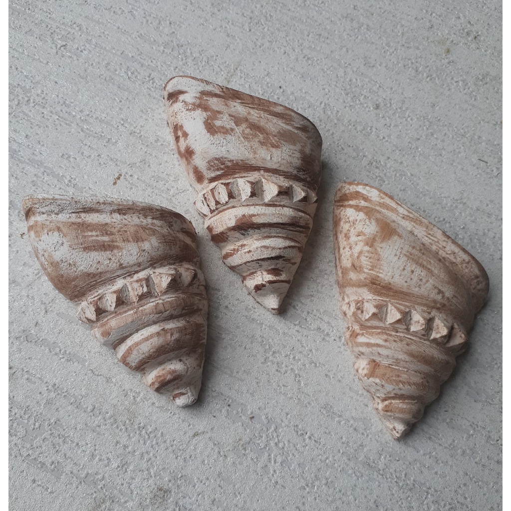 Concha crustáceo P em madeira entalhada. ideal para apliques artesanais ...