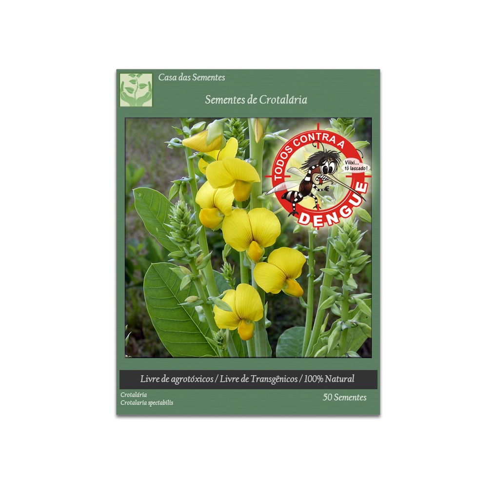 Sementes de Crotalaria spectabilis Para plantio de Mudas | Shopee Brasil