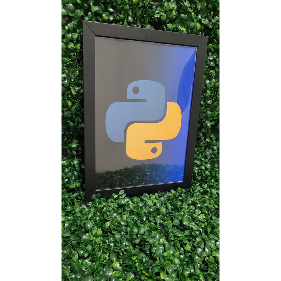 Quadro decorativo Python - Moldura e Acetato | Shopee Brasil