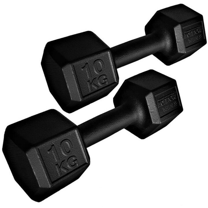 PAR HALTER DUMBBELL SEXTAVADO 10KG (2UN.) FERRO FUNDIDO / PINTADO ...