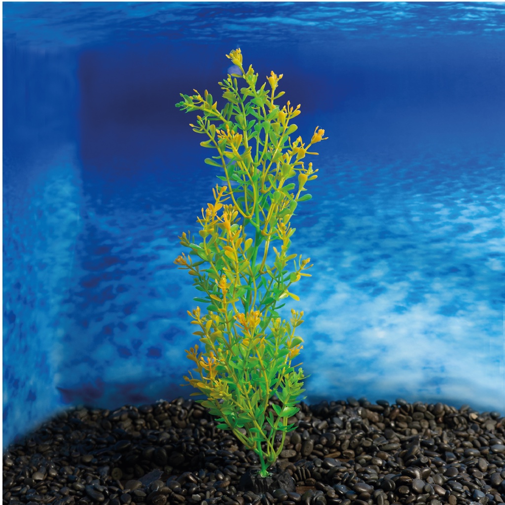 PLANTA PLASTICA SOMA ECONOMY 30CM VERDE (MOD.442) | Shopee Brasil