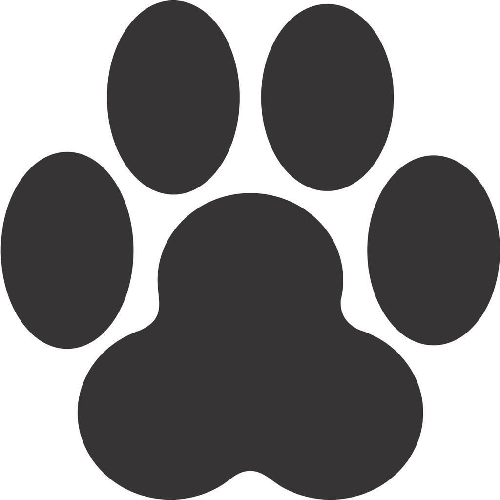 Adesivo Patinha de Cachorro ou Gato Pet Shop - 14 unidades | Shopee Brasil