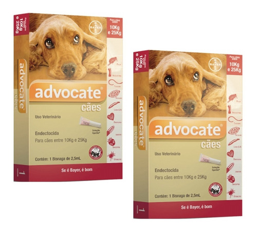 Kit 2 Antipulgas Advocate Elanco 2,5 mL para Cães de 10 Kg até 25 Kg ...