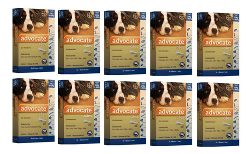 Kit 10 Advocate Elanco 4,0ml para Cães de 25kg até 40kg - 1 Bisnaga ...