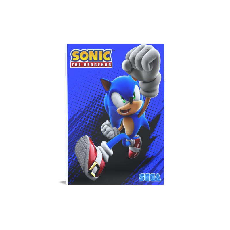 Caderno Brochura Sonic 96 Folhas grande | Shopee Brasil