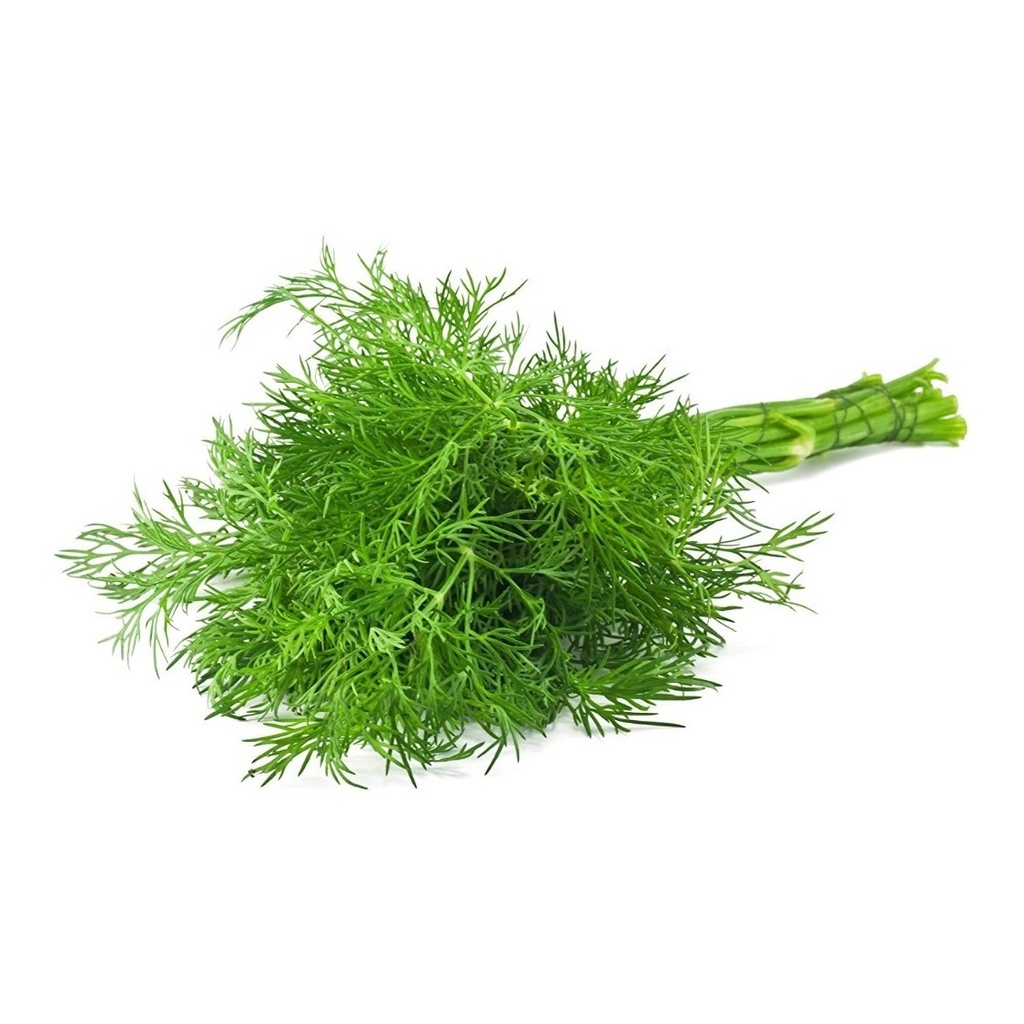 500 Sementes De Endro Eneldo Aneto Graveolens Erva | Shopee Brasil