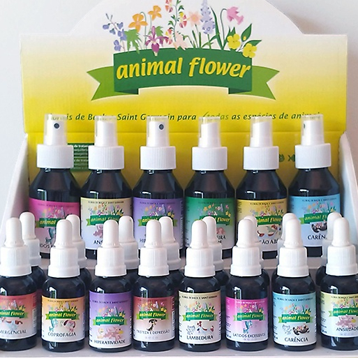 Floral Pet - Animal Flower (floral para cachorro - floral para gato ...