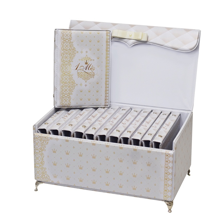 Álbum Fotográfico Box Luxo Mesversário Personalizado 480 Fotos 10x15 ...