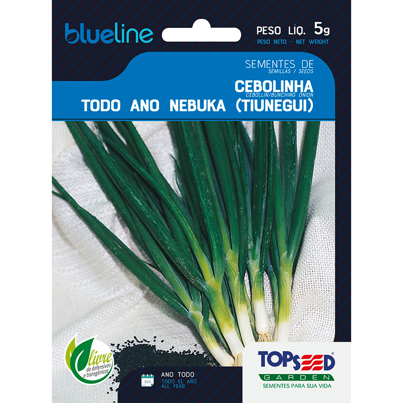 Sementes de Cebolinha Todo Nebuka Tiunegui 5 Gramas Temperos Saladas ...