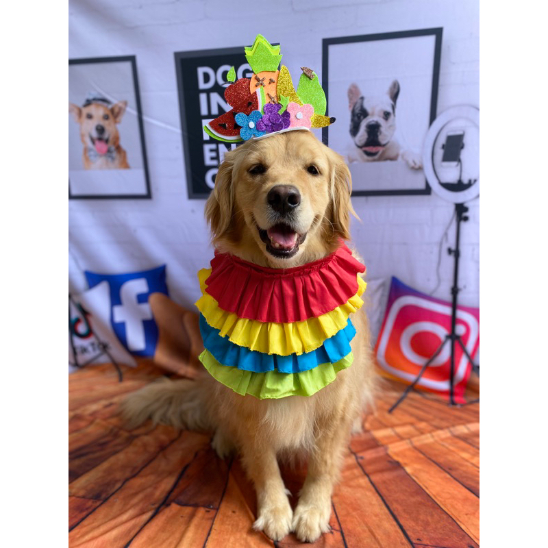 Fantasia Carmen Miranda - Fantasia Carmen Miranda Pet - Fantasia Pet ...